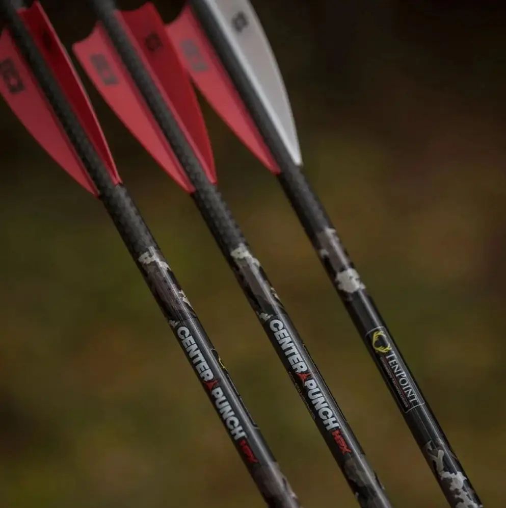 TenPoint 20" Carbon 001. 6шт (HEA-770.6) купити в Україні • Вінавто ...